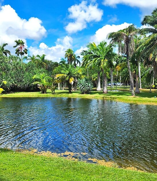 stunning tropical gardens florida ftr