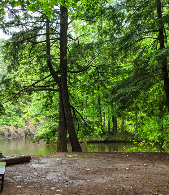 stunning wisconsin state park ftr