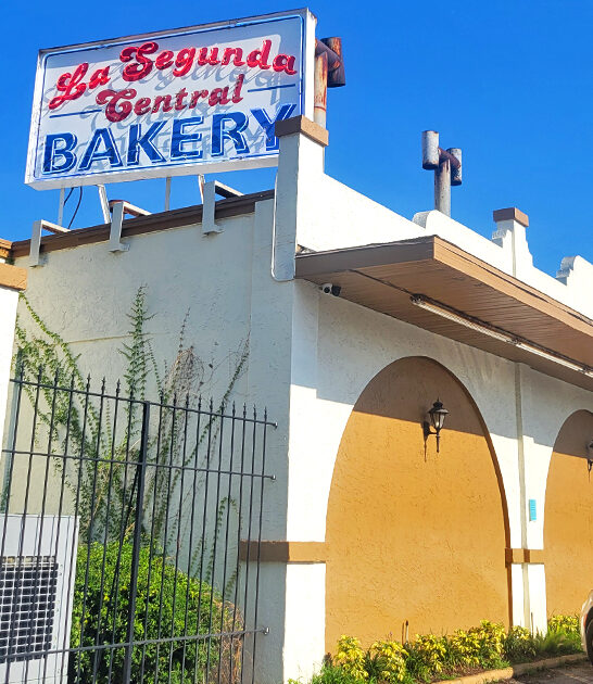 sweet tooth trip florida ftr