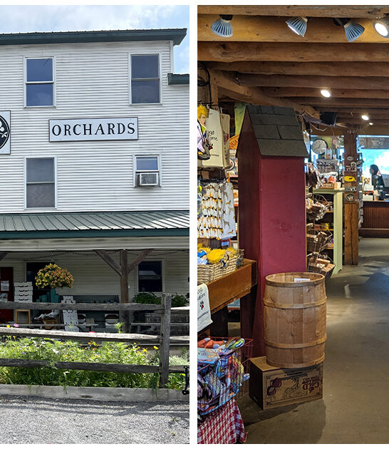 sweet tooth trip vermont FTR