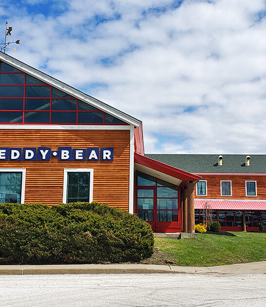 teddy bear factory vermont ftr