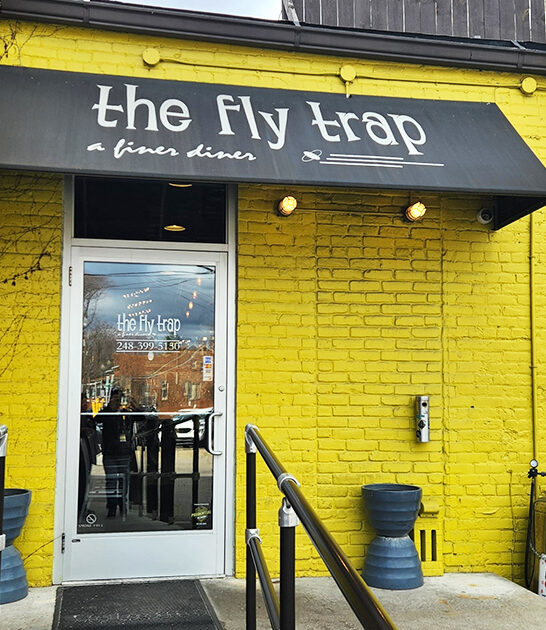 tiny diner michigan ftr