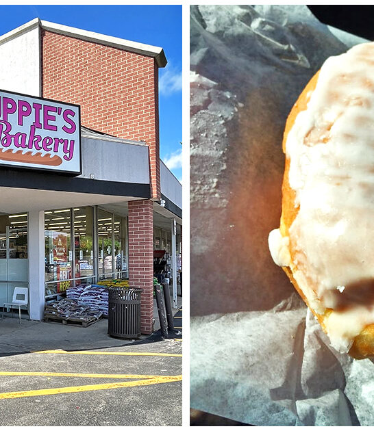 tiny donut paradise illinois ftr
