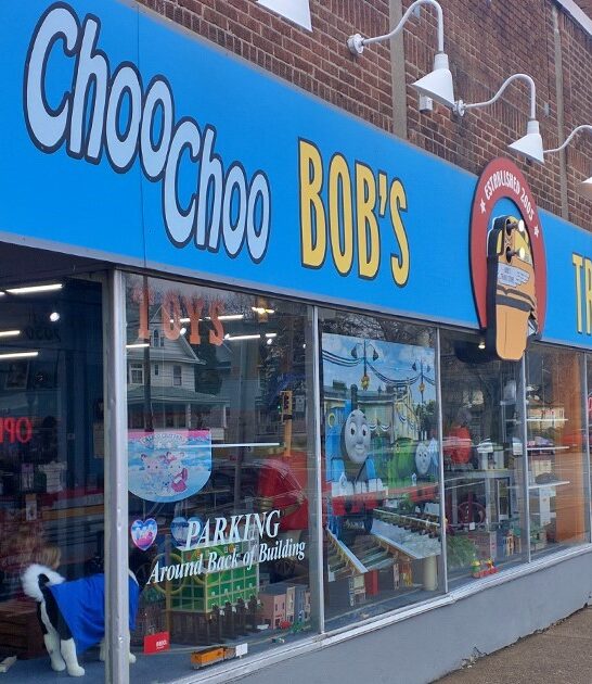 toy stores minnesota FTR