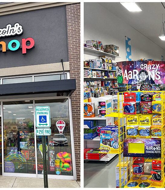 toys wonderland illinois ftr