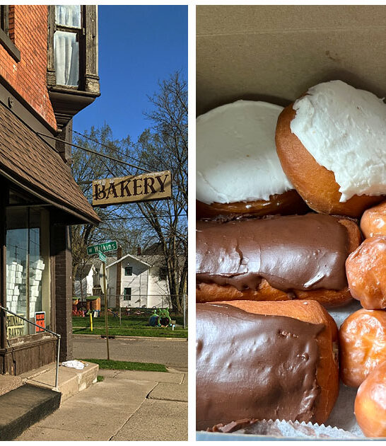 unassuming donut shops michigan ftr