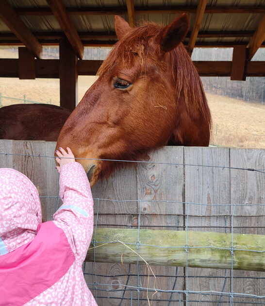 under radar farm vermont FTR