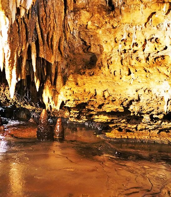underground wonder wisconsin ftr