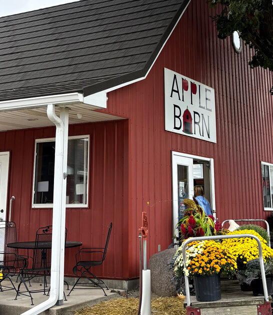 underrated bakeries illinois ftr