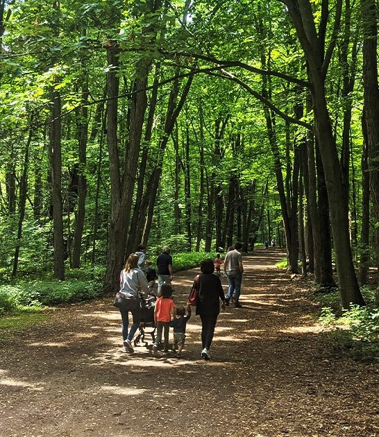 underrated hiking trails vermont FTR