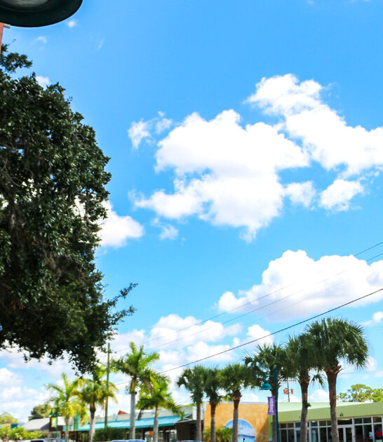 underrated ideal city florida ftr