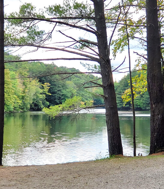 underrated lake beach vermont FTR