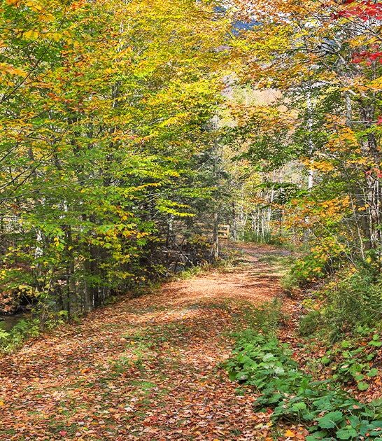 underrated road trip vermont FTR