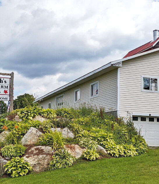 underrated vermont gift shop FTR