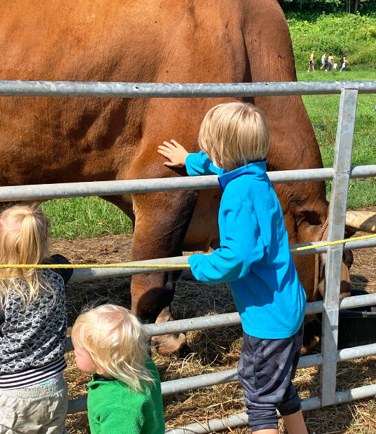 unforgettable animal encounters vermont ftr