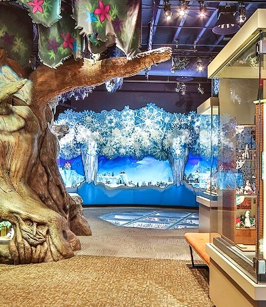 unique arizona structures ftr