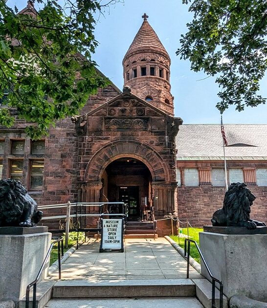 unique curiosities vermont museum ftr