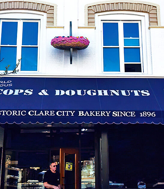 unique donut shop michigan ftr