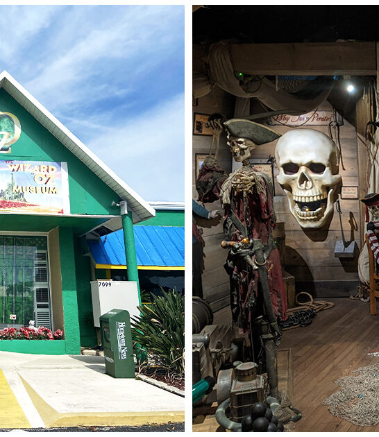 unique exhibits florida ftr
