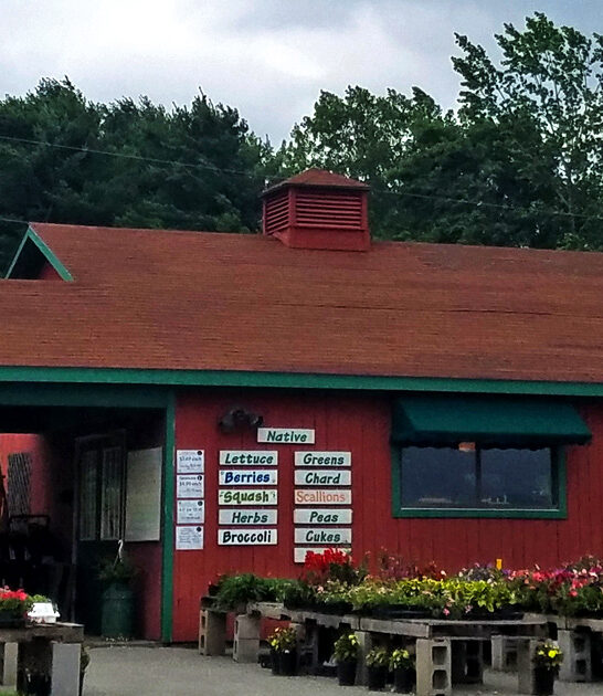 vermont farm market donuts FTR