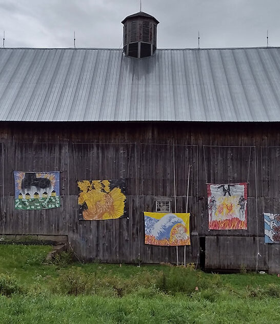 vermont incredible puppet collections ftr