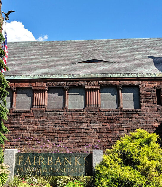 vermont museum rare taxidermy ftr