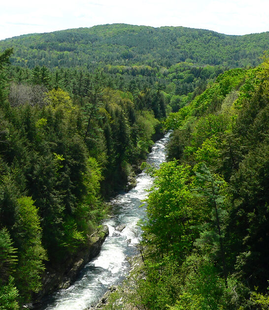 vermont scenic trip FTR