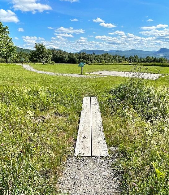 vermont ultimate nature escape ftr