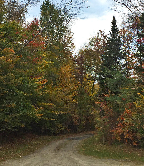 vermont underrated hiking trails FTR