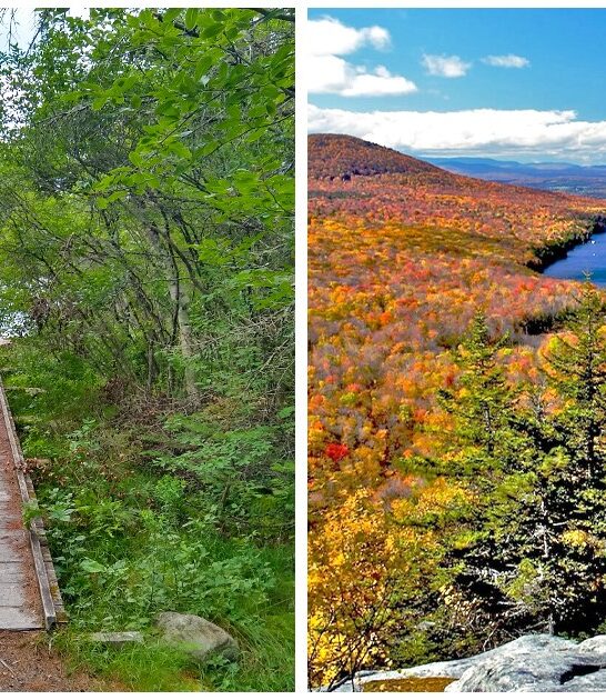 vermont underrated park FTR