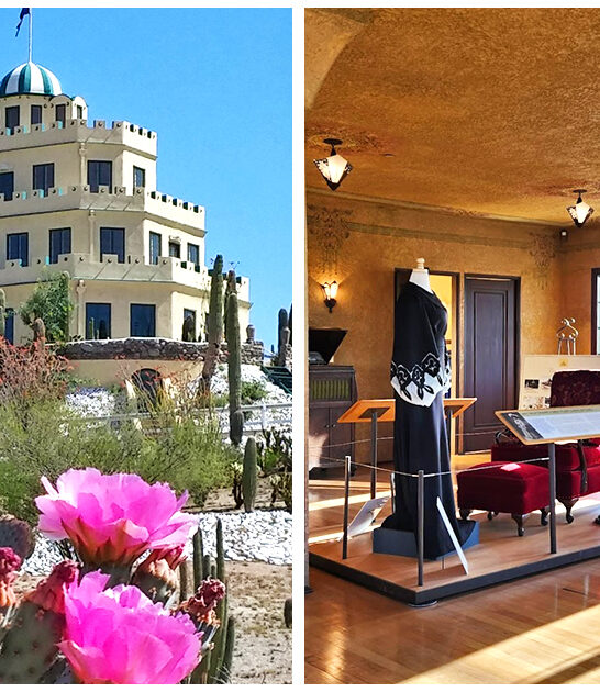 whimsical castle arizona ftr