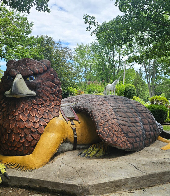 whimsical park illinois ftr