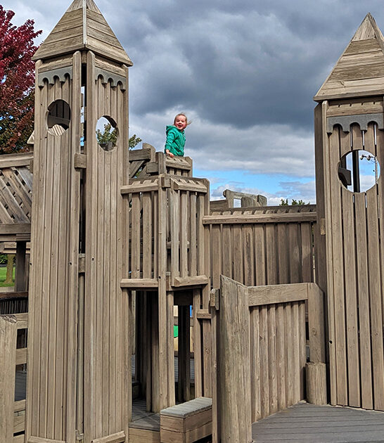 whimsical playgrounds michigan ftr
