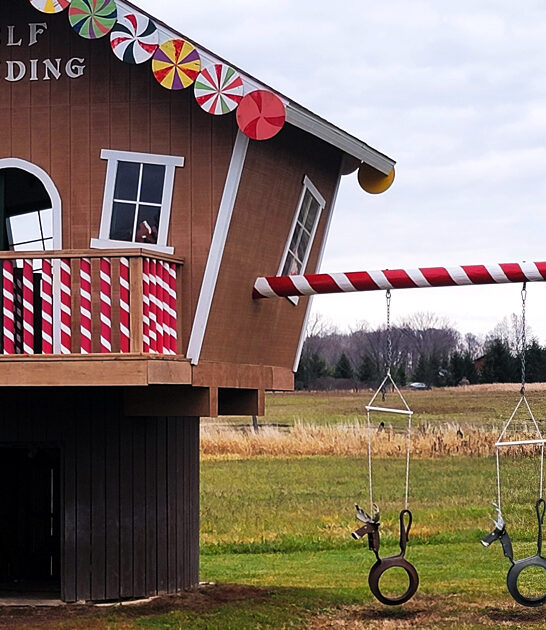 whimsical reindeer farm michigan ftr