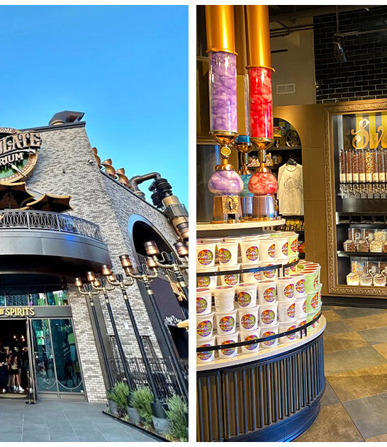 whimsical restaurants florida ftr