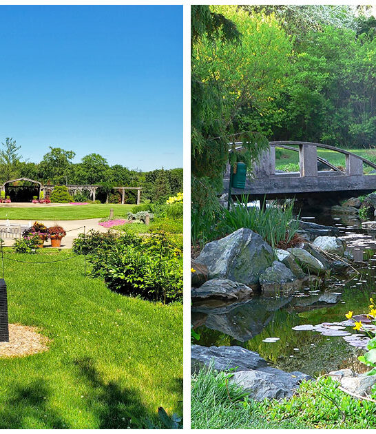 whimsical sculptures illinois ftr