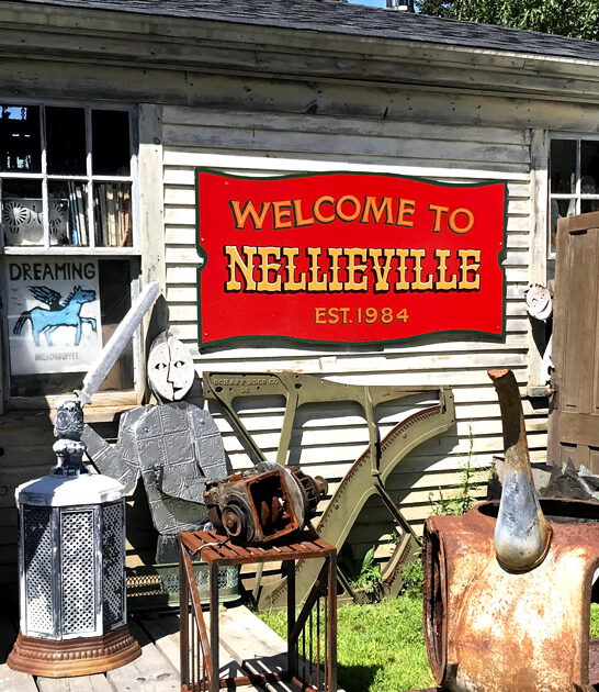 whimsical shop maine ftr