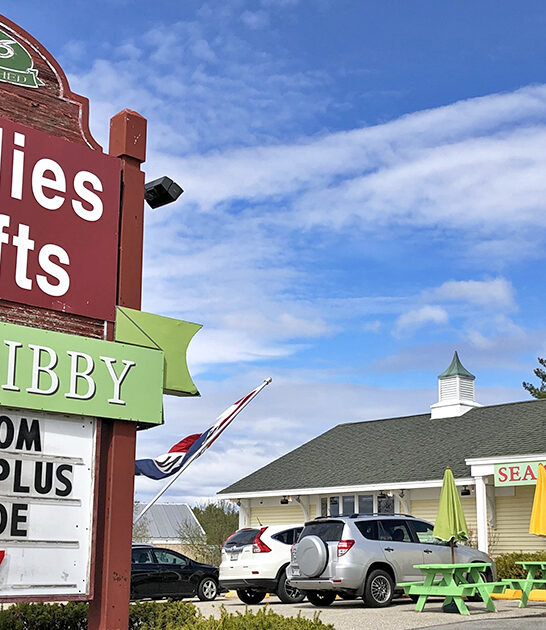 whimsical sweet spots maine ftr