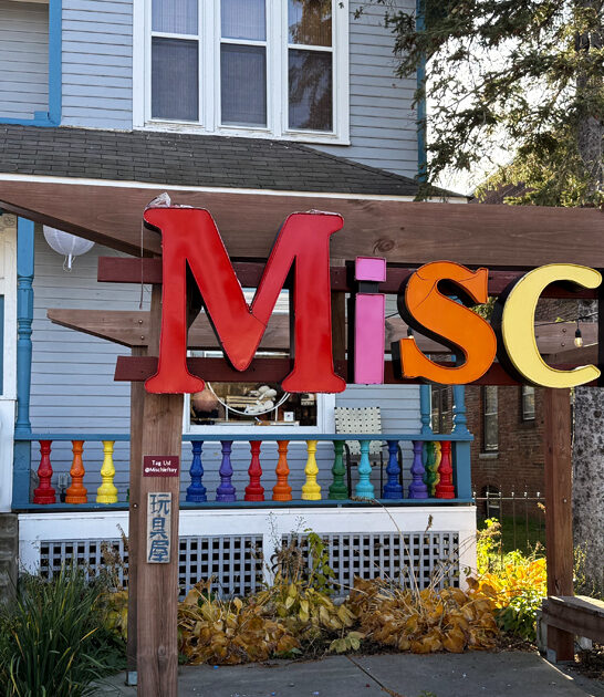 whimsical toy store minnesota FTR