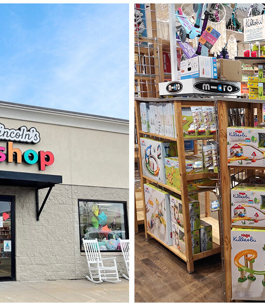 whimsical toy stores illinois ftr
