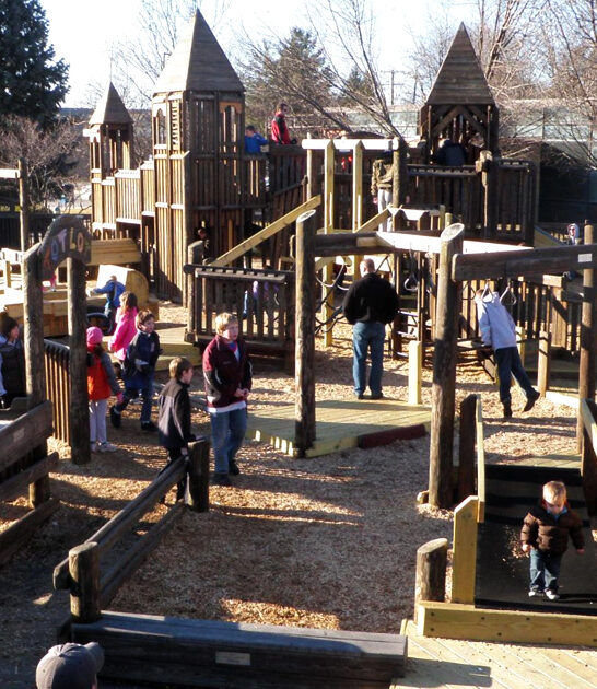 whimsical wooden playground michigan ftr