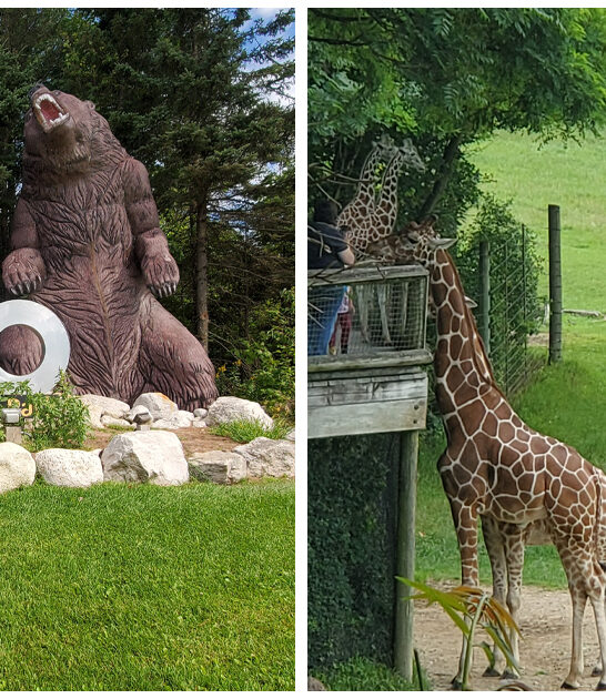 wild-animal-encounters-michigan-FT