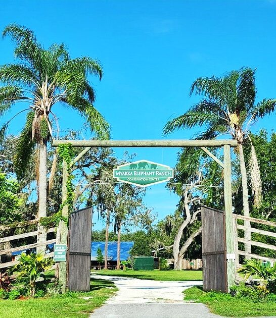 wild florida animal preserves ftr