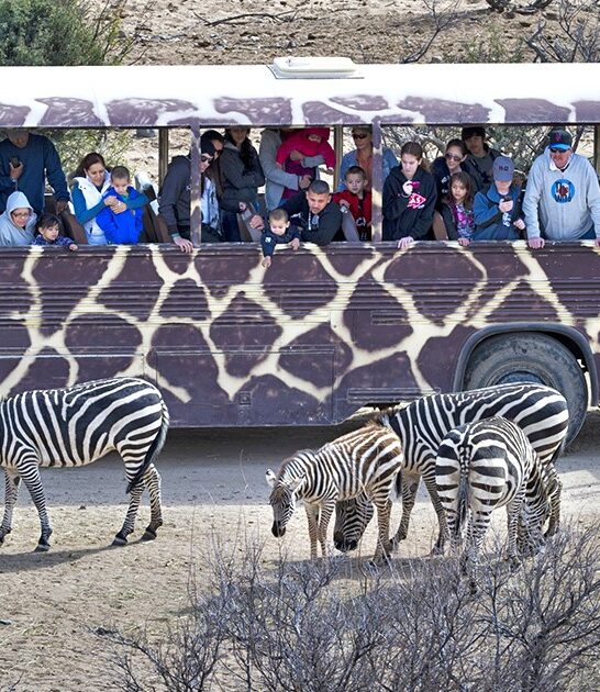 wildlife experiences arizona ftr