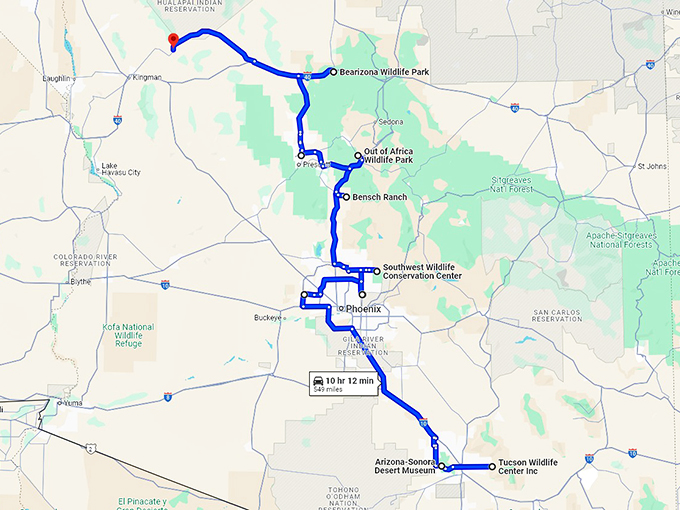 wildlife road trip arizona map