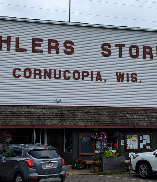 wisconsin general store brownies ftr