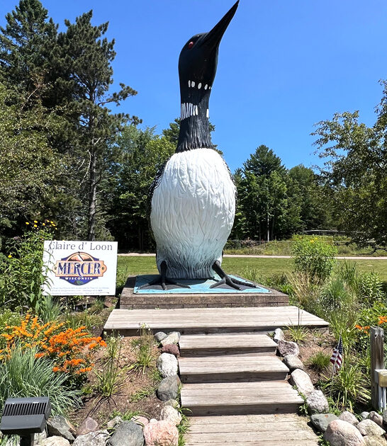 wisconsin largest talking loon ftr