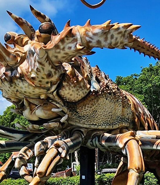 wonderfully bizarre attractions florida ftr