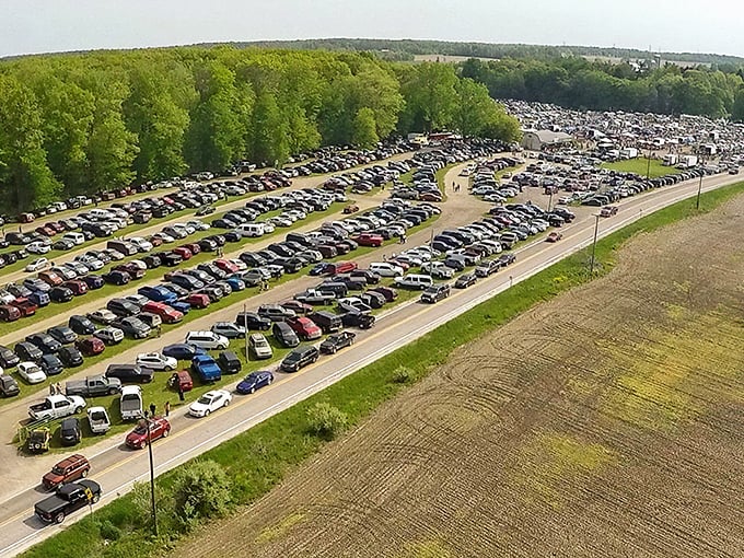 Holy parking lot, Batman! This aerial view of Armada Flea Market looks like a treasure hunter's Mecca. Bring your walking shoes and a keen eye!