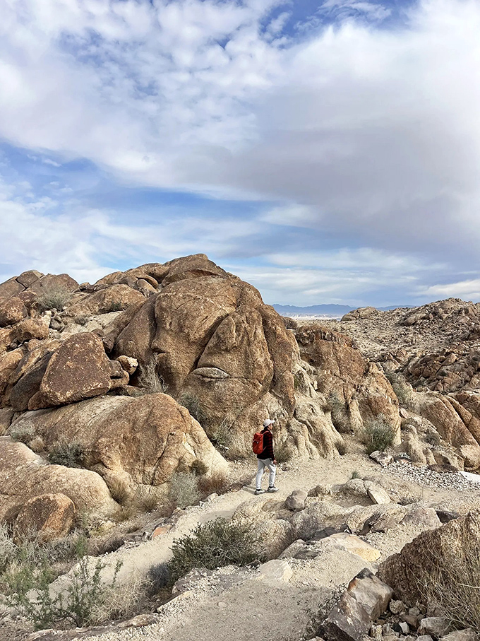 Palm trees reaching for the sky like nature's skyscrapers. This oasis is the desert's version of a surprise party &ndash; unexpected and totally delightful!